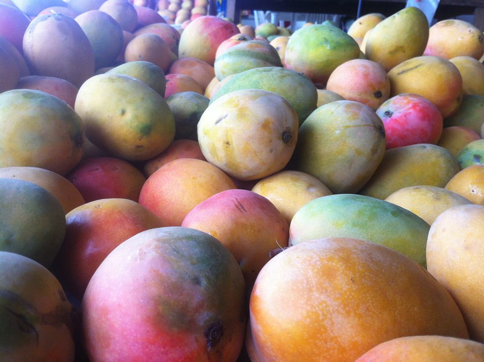 Fruits and Meals - Amazon Fruit Festival